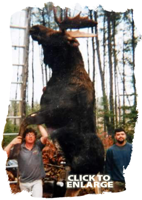 PINE ACRES BEAR HUNTING CAMP - NORTHWESTERN ONTARIO CANADA